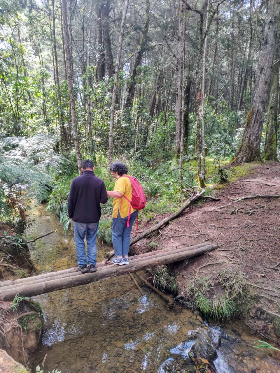 Arví Park Adventure - Medellín's Lively Wild Escape